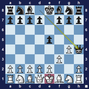 Lesson 3 – How to checkmate your opponent’s king – CHESSFOX