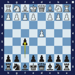 42 Openings That All Chess Players Should Know – CHESSFOX.COM