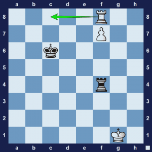 56 Tactics That All Chess Players Should Know – CHESSFOX.COM